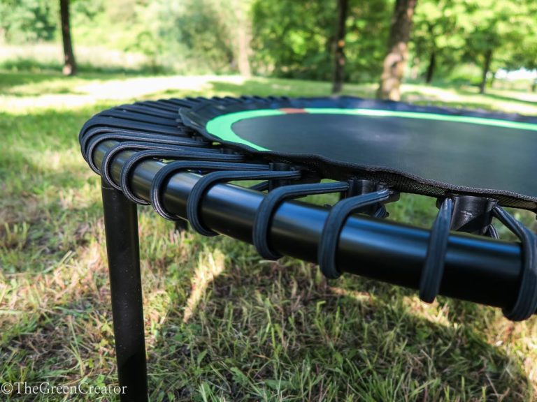 My experience with bellicon | The Green Creator